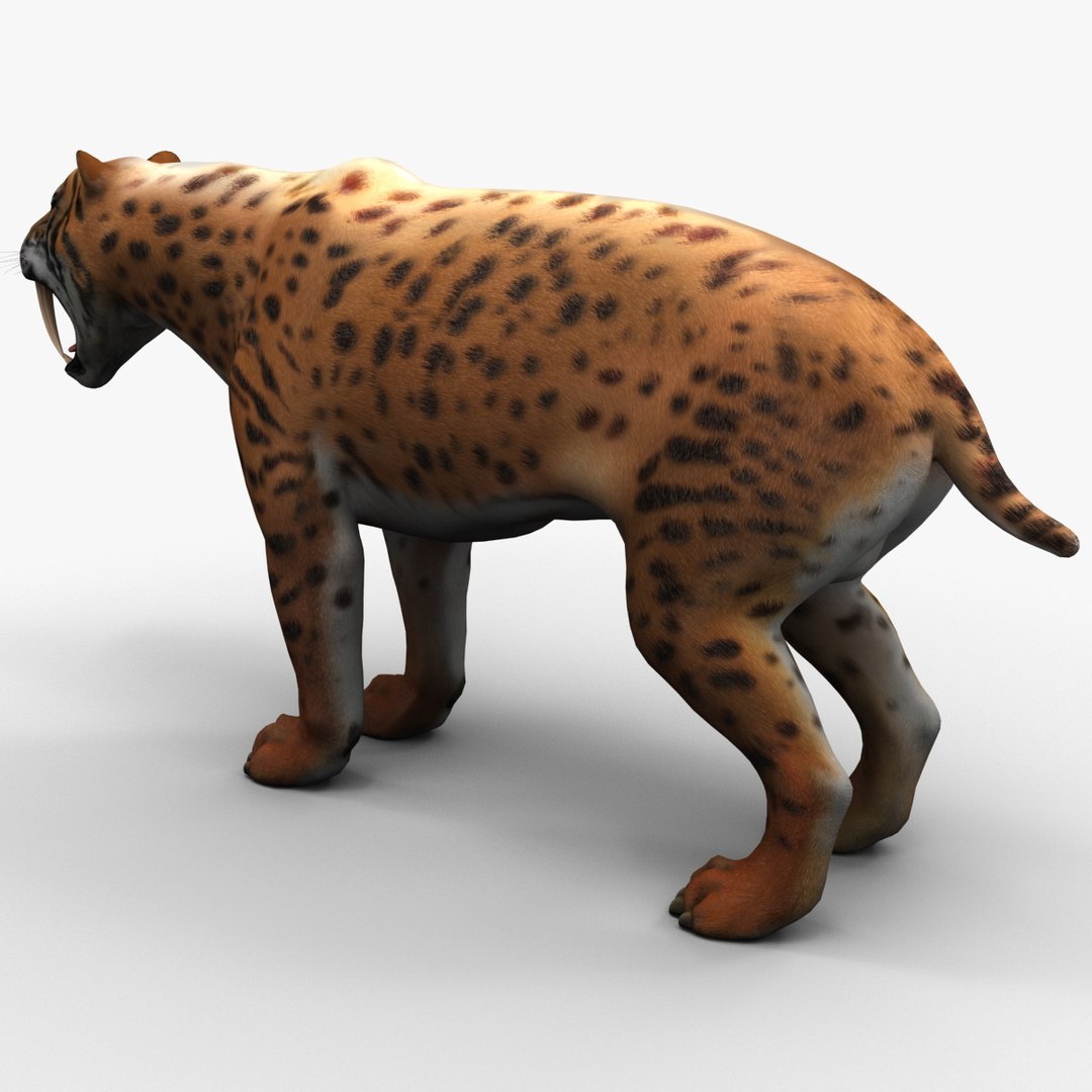 3d Model Smilodon 2 Rigged