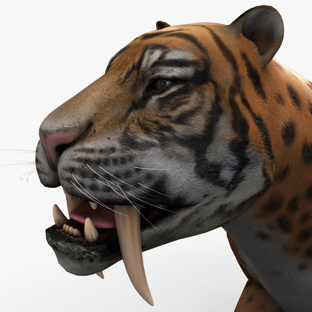 3d Model Smilodon 2 Rigged