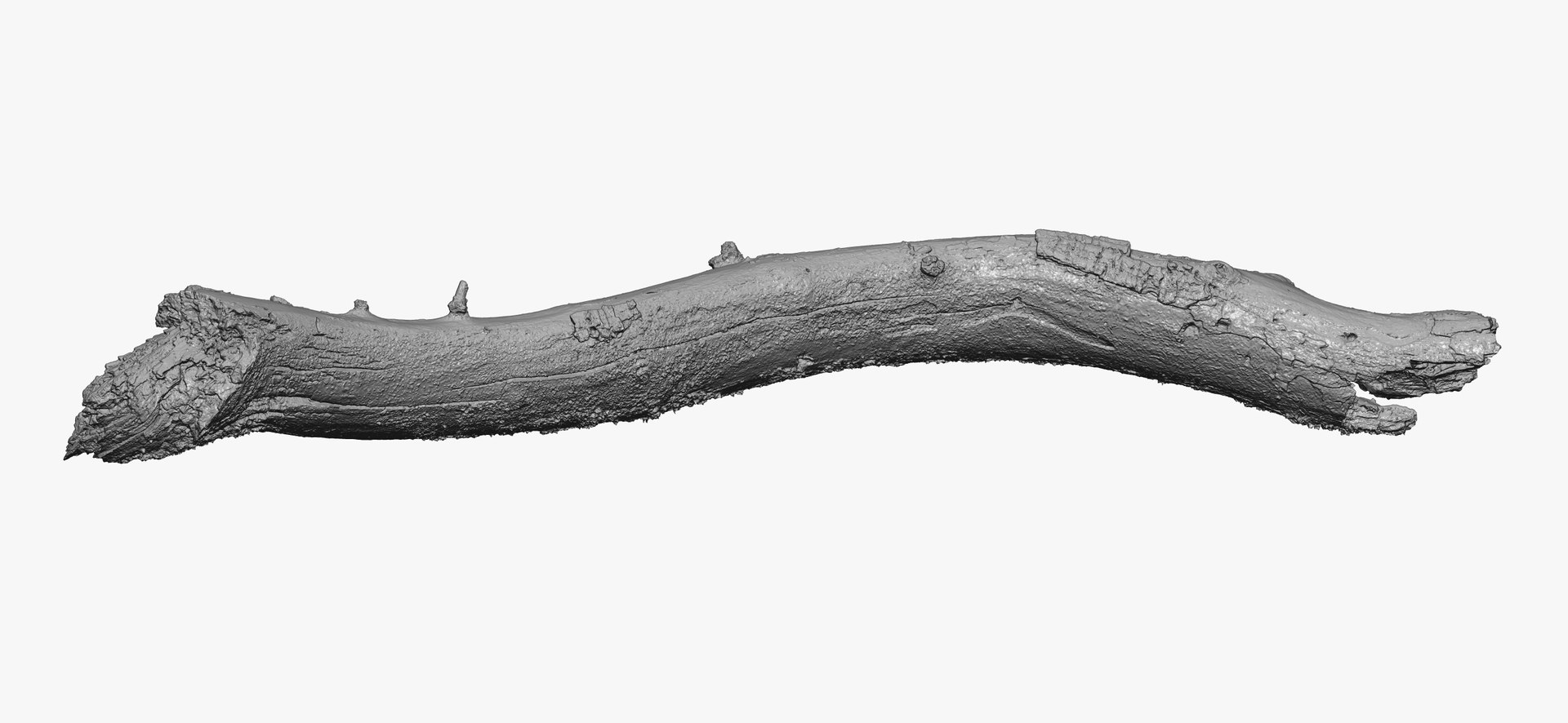 3D Broken Branch 01 RAW Scan Model - TurboSquid 2143320