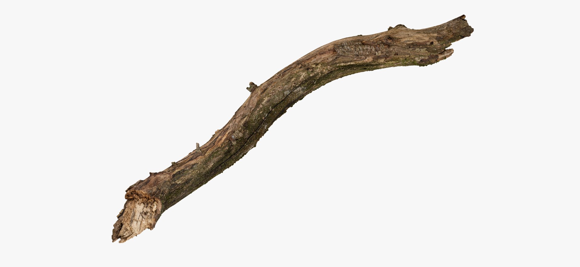 3D Broken Branch 01 RAW Scan Model - TurboSquid 2143320