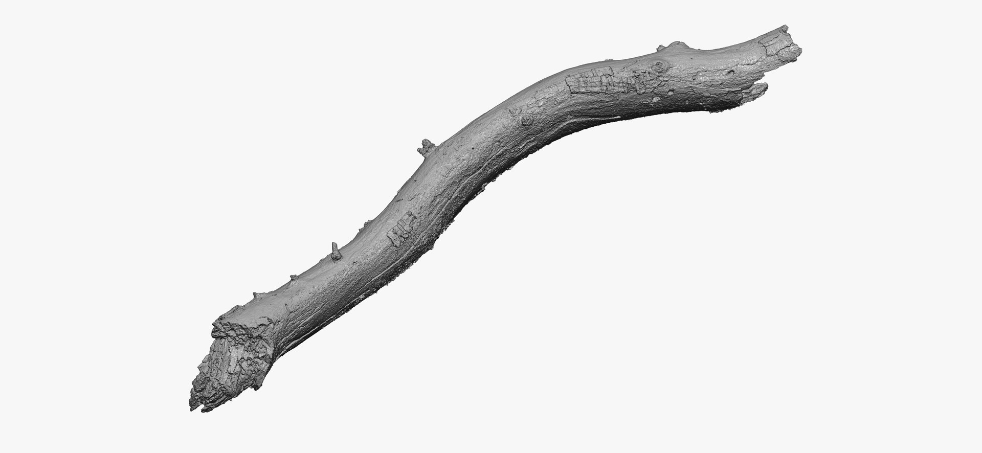 3D Broken Branch 01 RAW Scan Model - TurboSquid 2143320