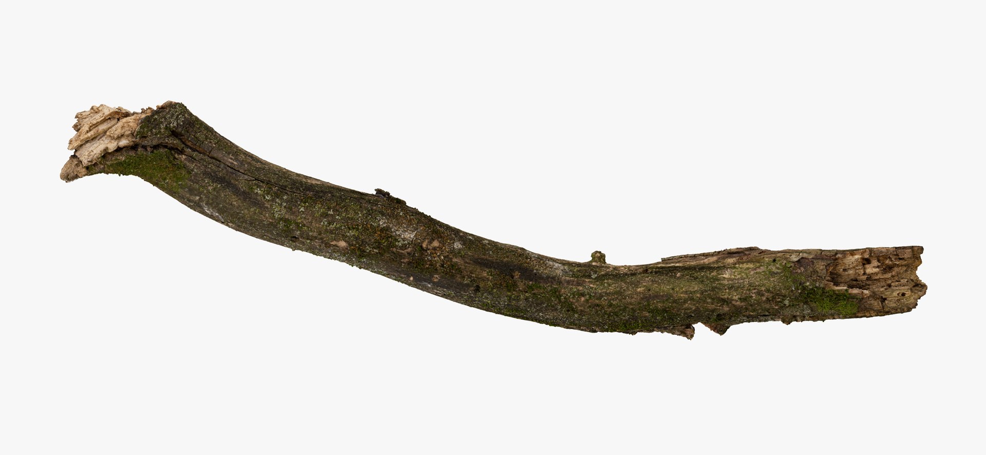 3D Broken Branch 01 RAW Scan Model - TurboSquid 2143320