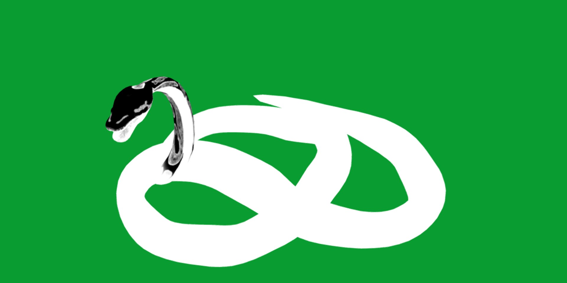 Panda Pied Ball Python Model - TurboSquid 2351088