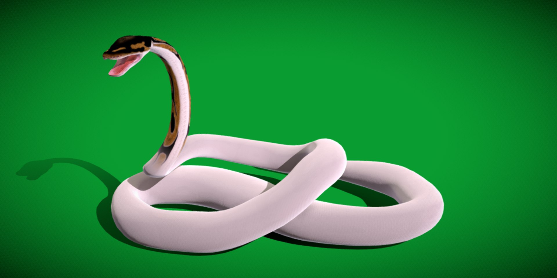 Panda Pied Ball Python Model - TurboSquid 2351088