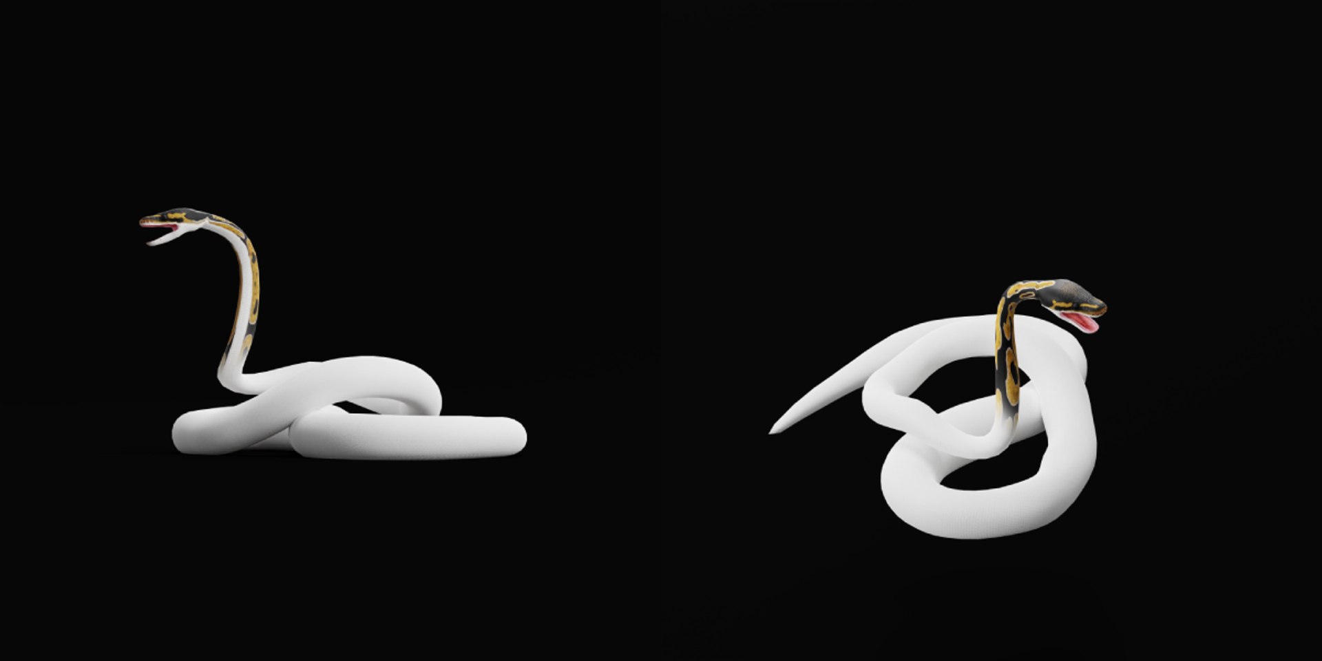 Panda Pied Ball Python Model - TurboSquid 2351088