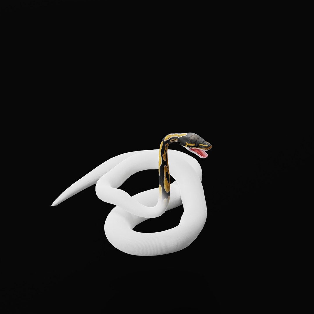 Panda Pied Ball Python Model - TurboSquid 2351088