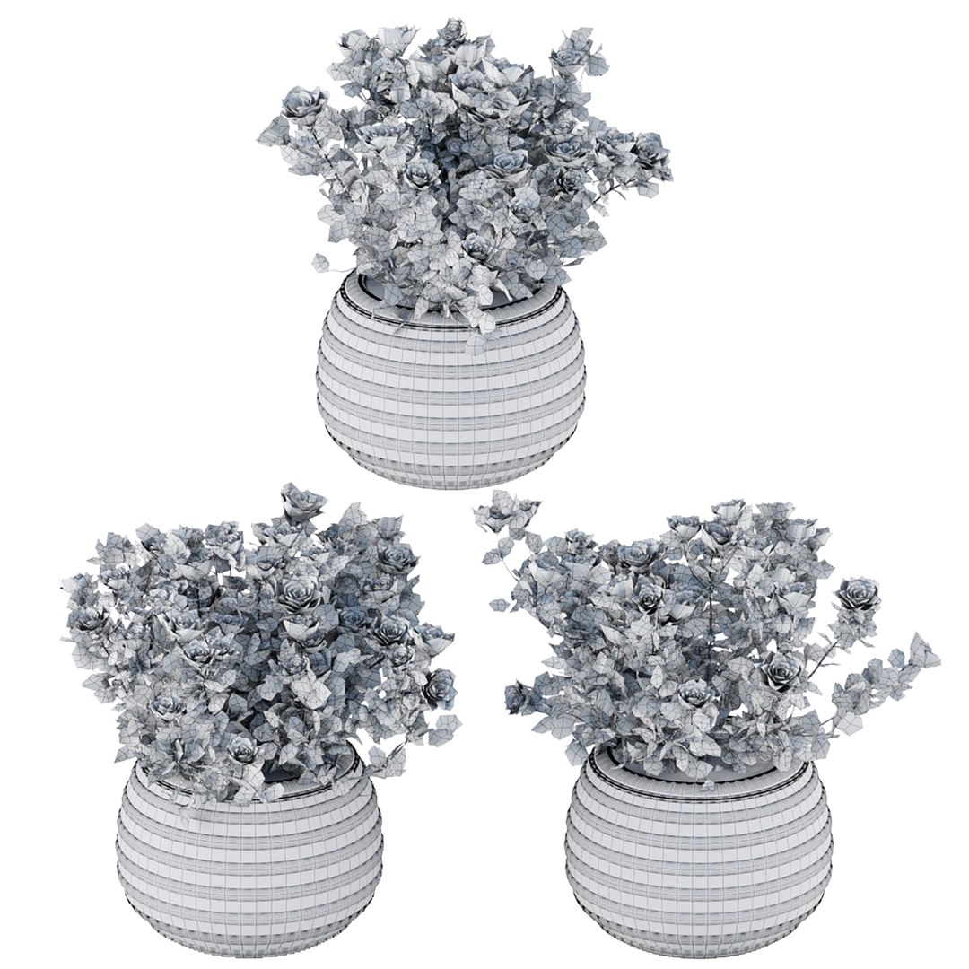 Rose Flowering Bushes Collection Vol 77 3D Model - TurboSquid 1961415