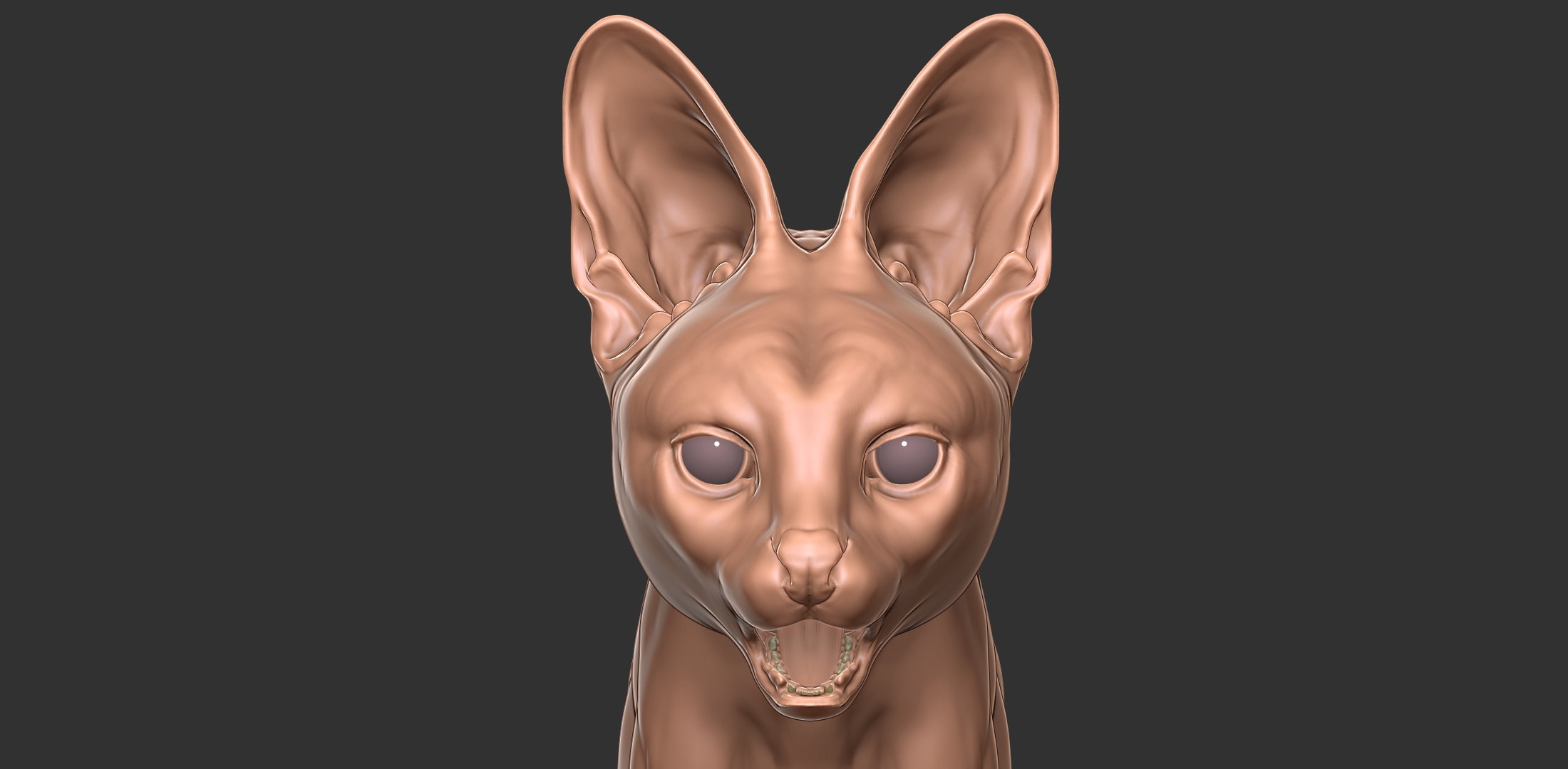 Serval Cat Cub Primary Forms Zbrush Sculpt 3D model - TurboSquid 1820803