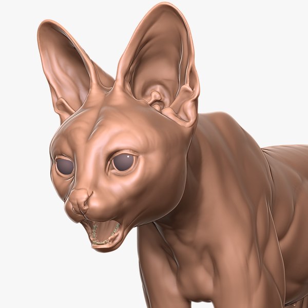 3D Serval Models | TurboSquid