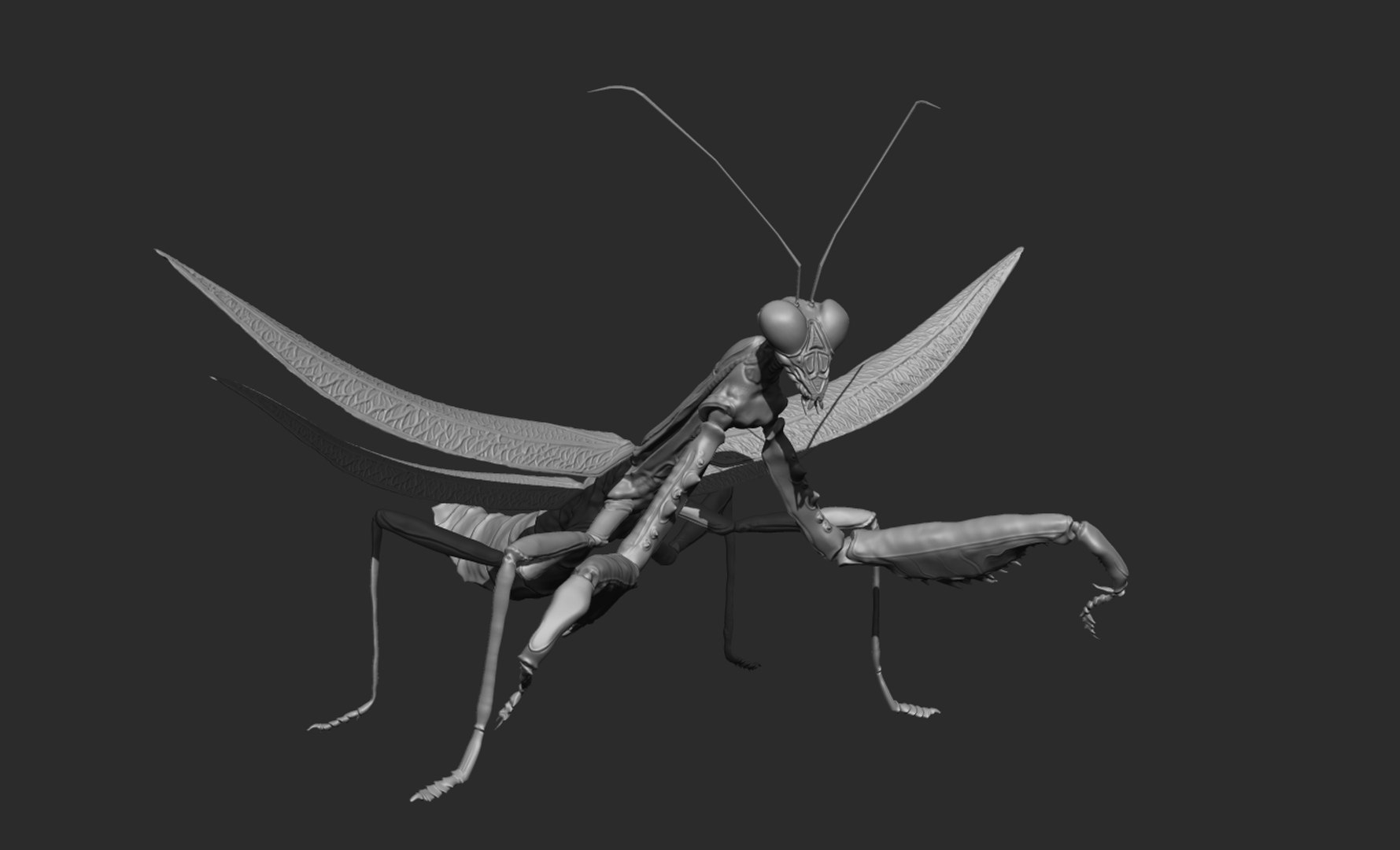 3D Model Praying Mantis - TurboSquid 1515490