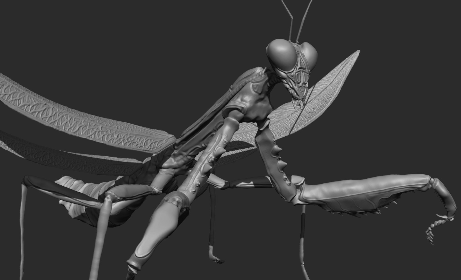 3D Model Praying Mantis - TurboSquid 1515490