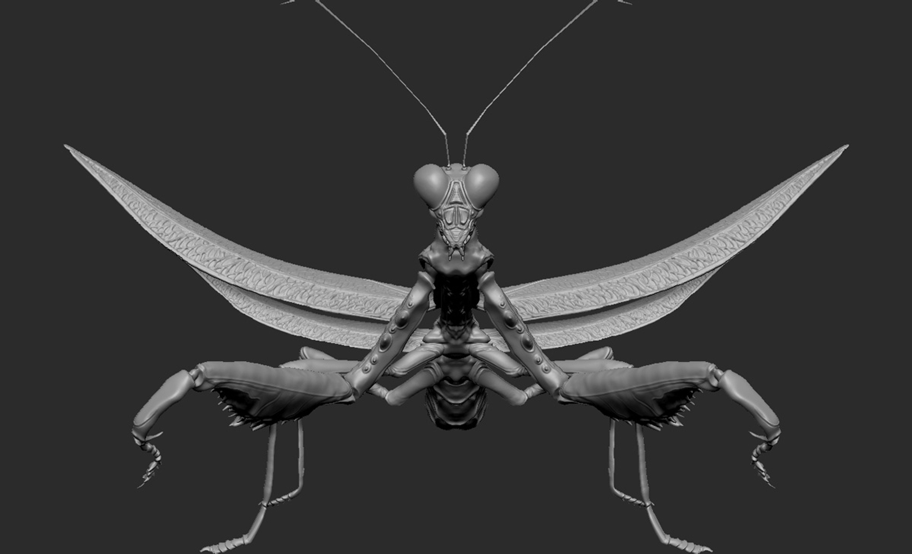 3D Model Praying Mantis - TurboSquid 1515490