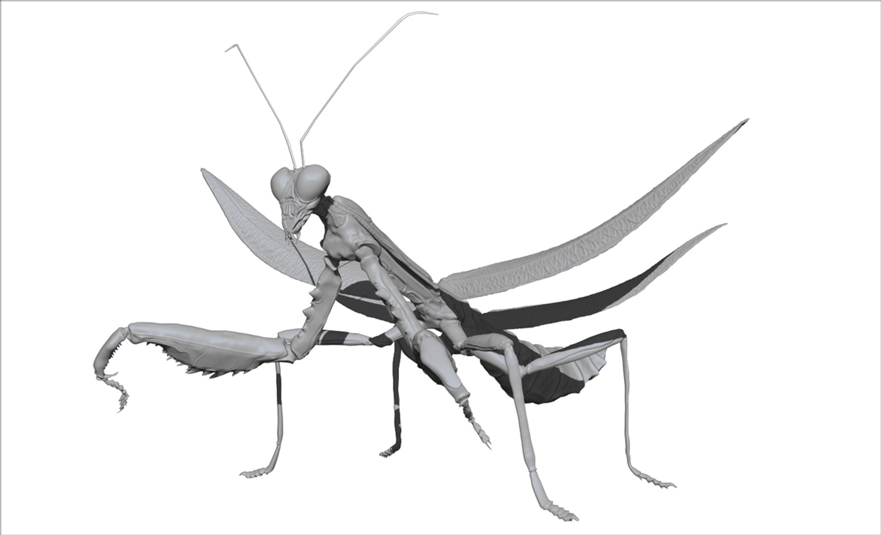 3D Model Praying Mantis - TurboSquid 1515490