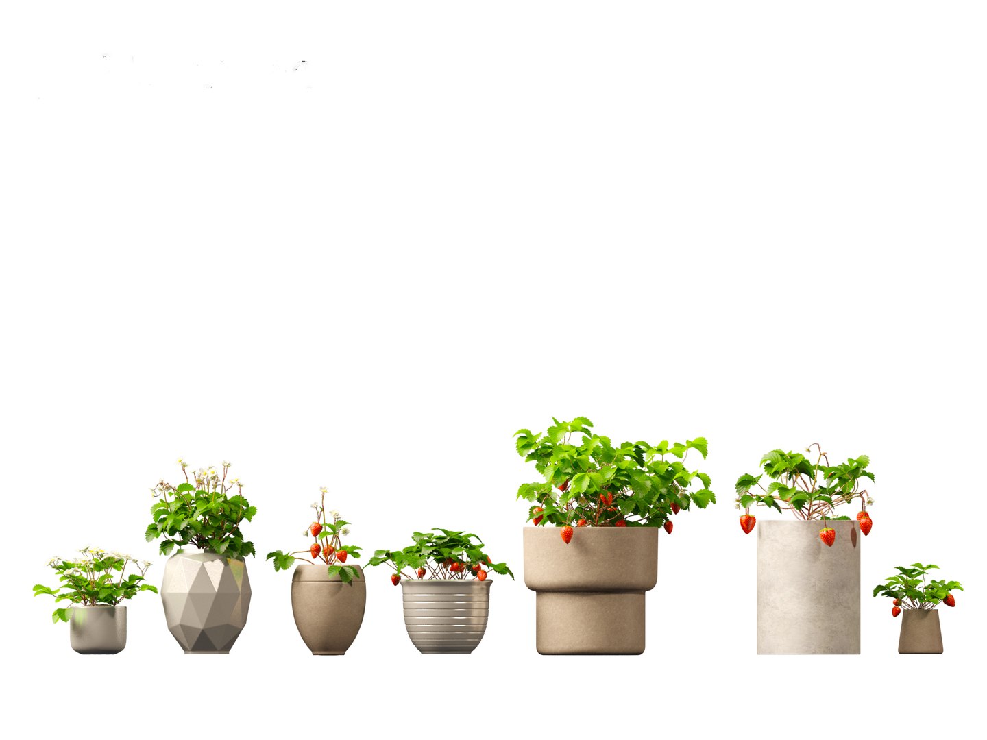 Fragaria - Woodland Strawberry 01 Model - TurboSquid 2141127