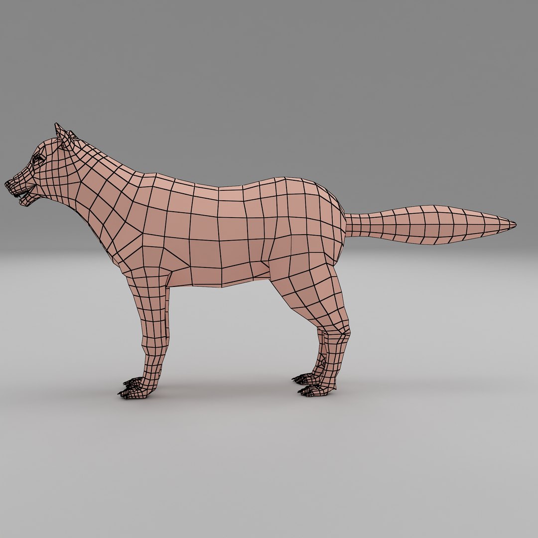 3D model wolf animal - TurboSquid 1688236