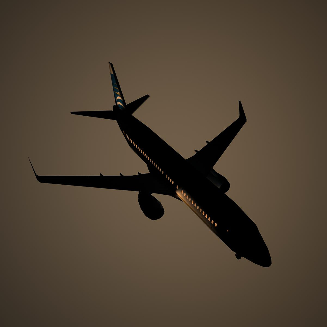 Boeing 737-800 Cmp Max