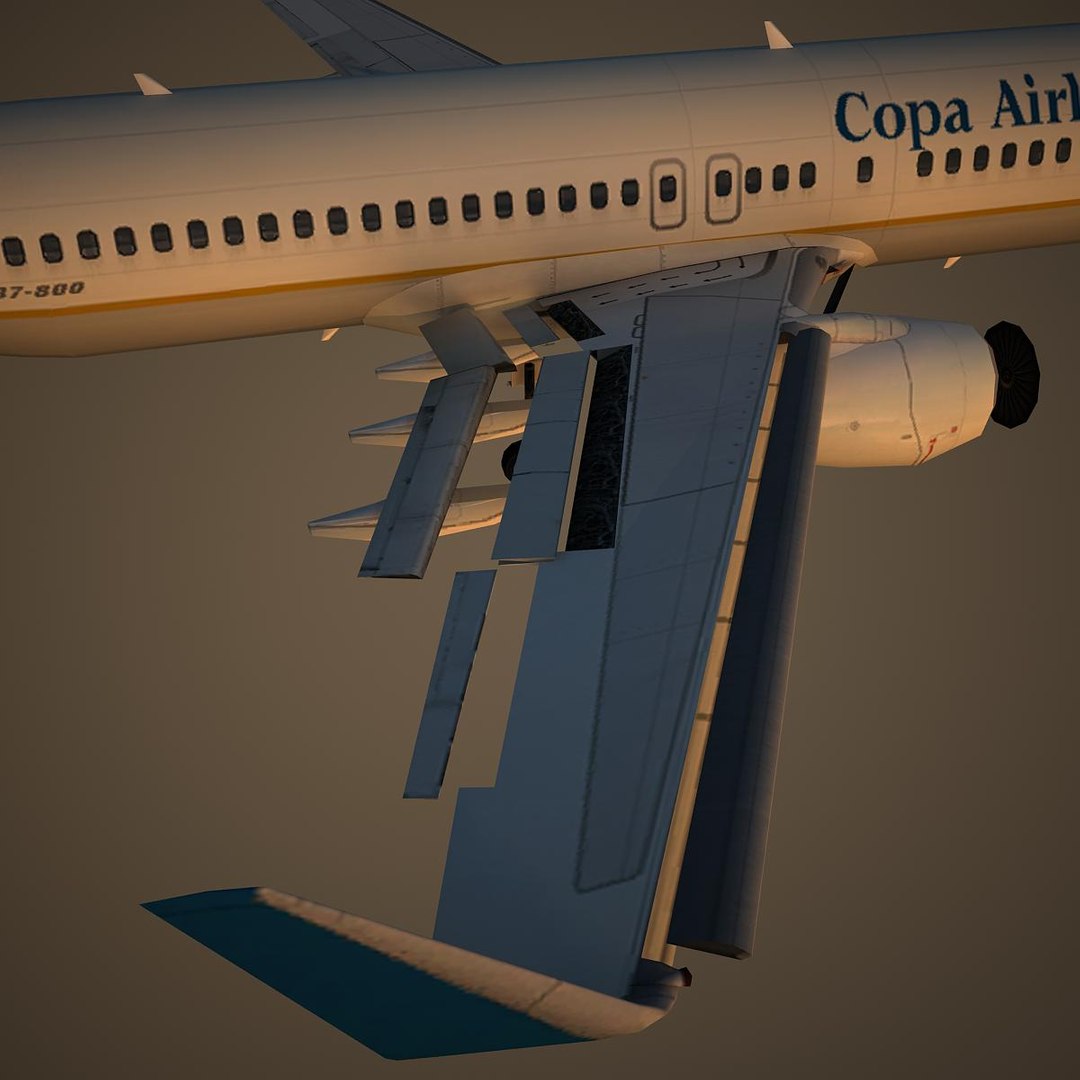 Boeing 737-800 Cmp Max