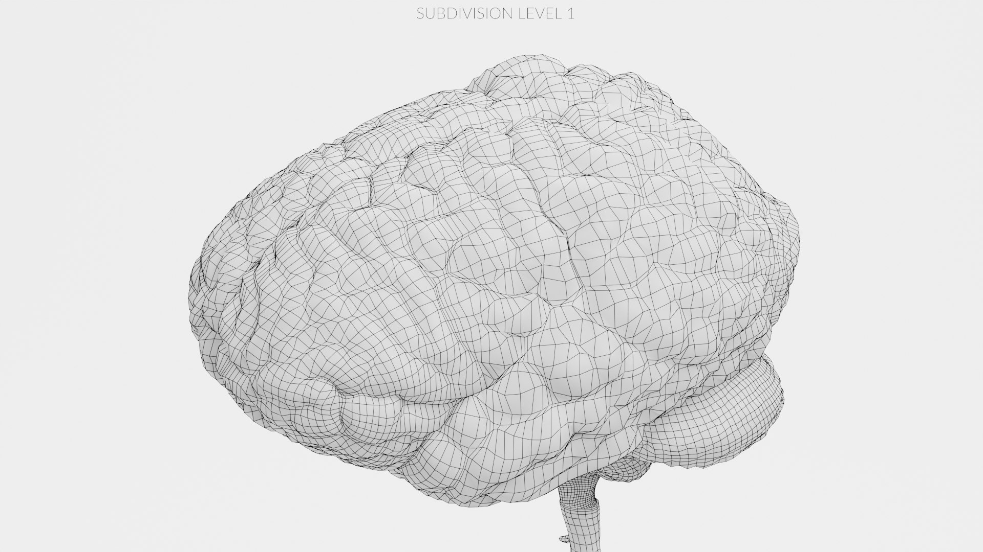 Human Nerves Fresh 3D Model - TurboSquid 1891613