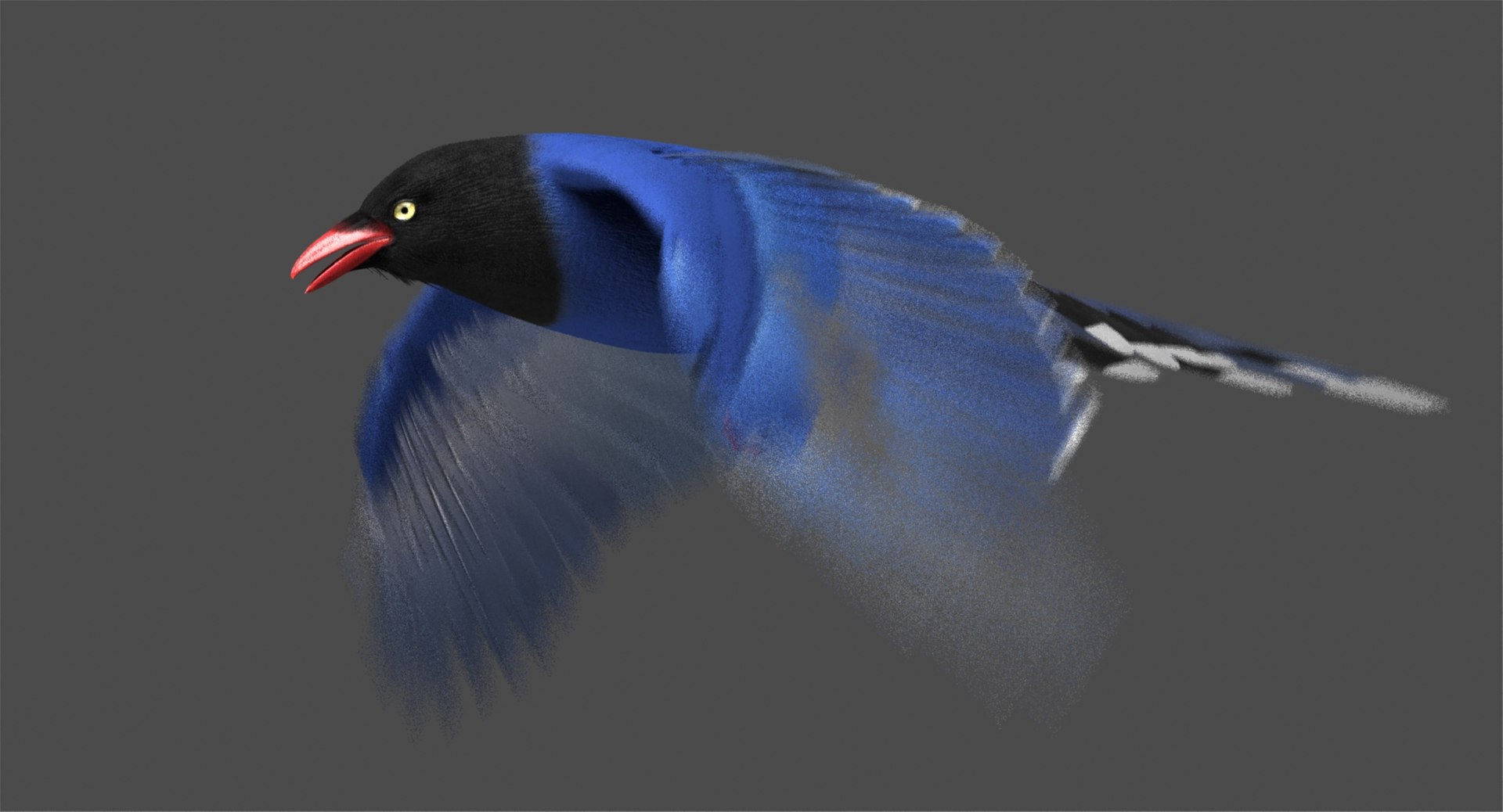 3d taiwan blue magpie animation model