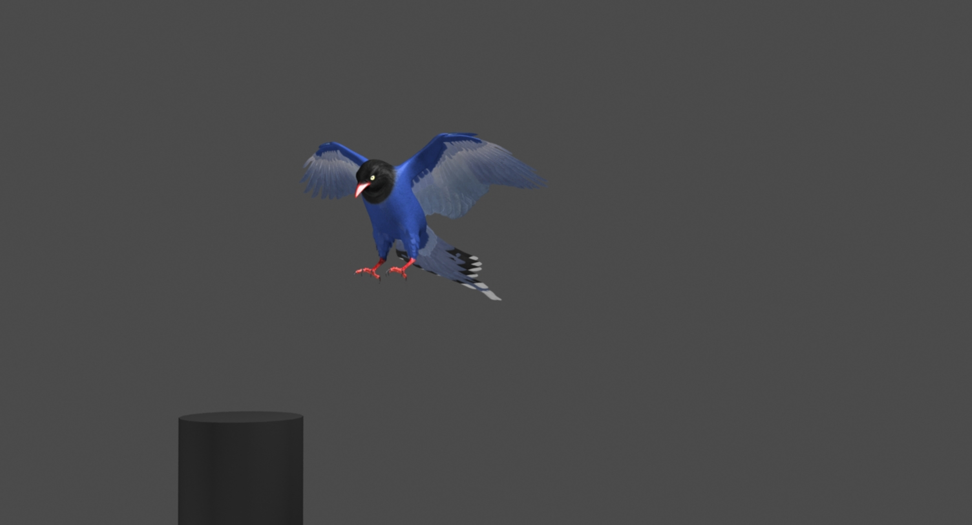 3d taiwan blue magpie animation model