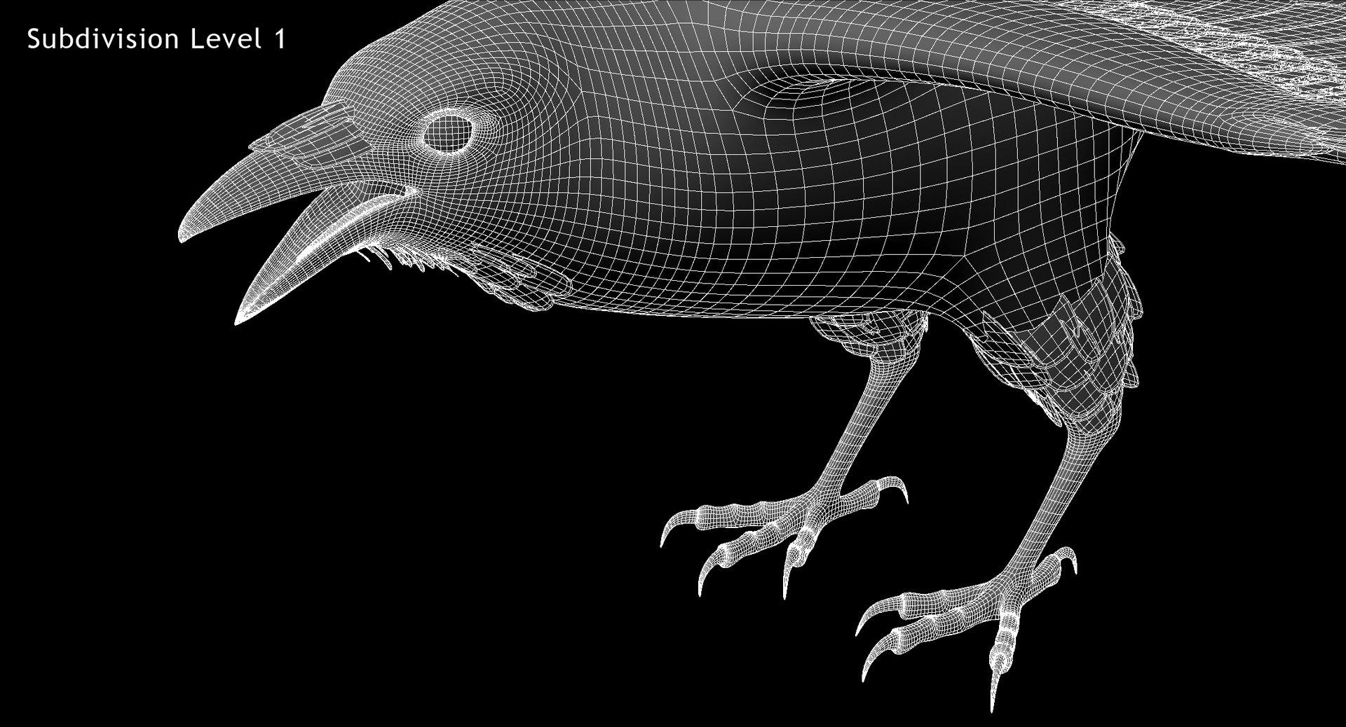 3d taiwan blue magpie animation model