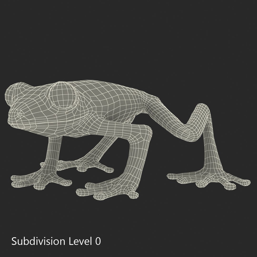 3d red eyed tree frog