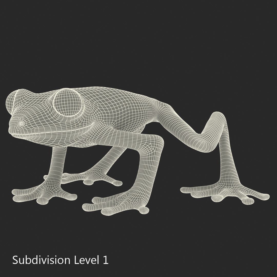 3d red eyed tree frog