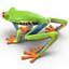 3d Red Eyed Tree Frog