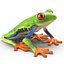3d Red Eyed Tree Frog