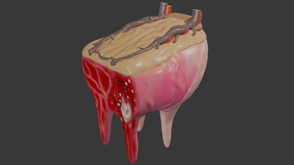 modelo 3d Ubre de vaca - TurboSquid 2299904