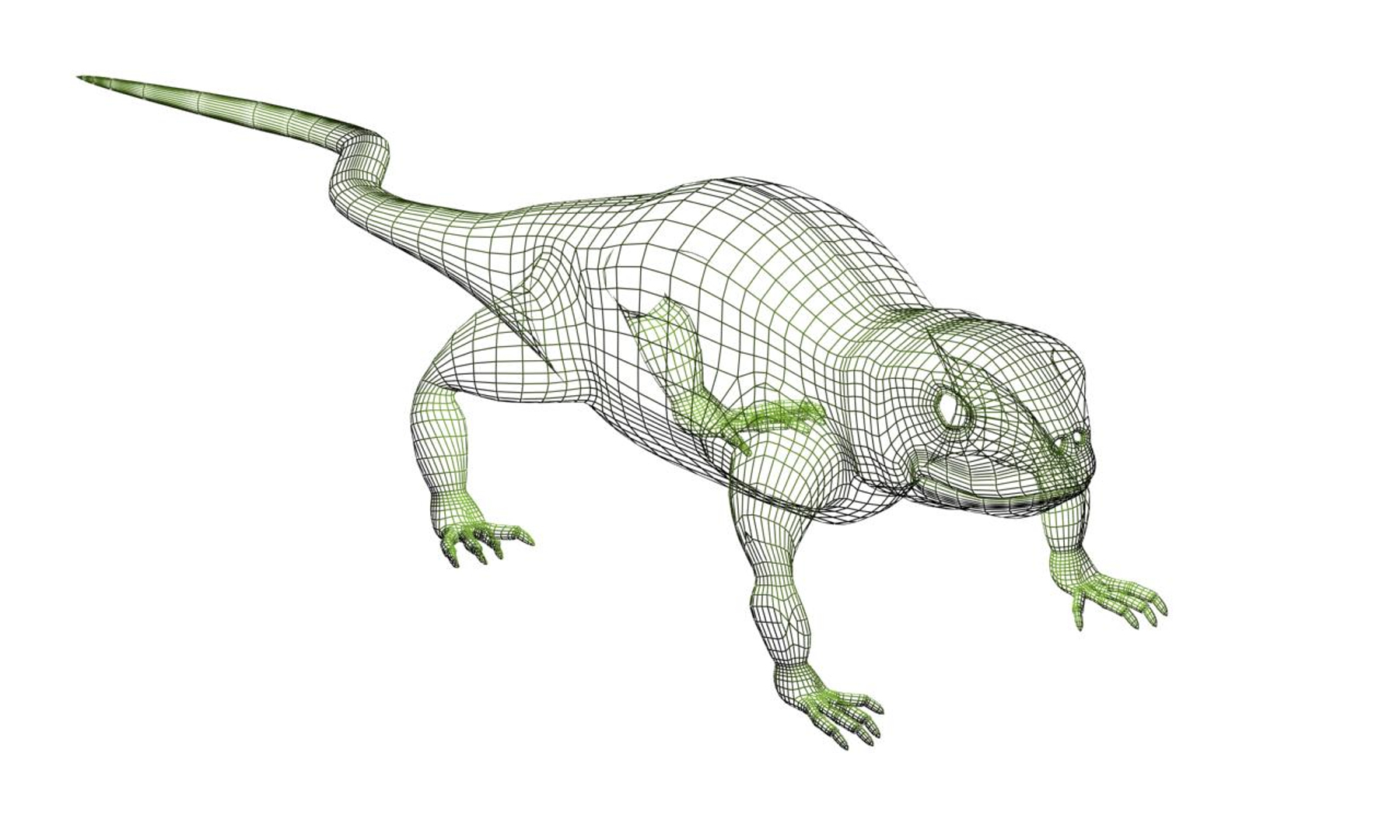 3d iguana model