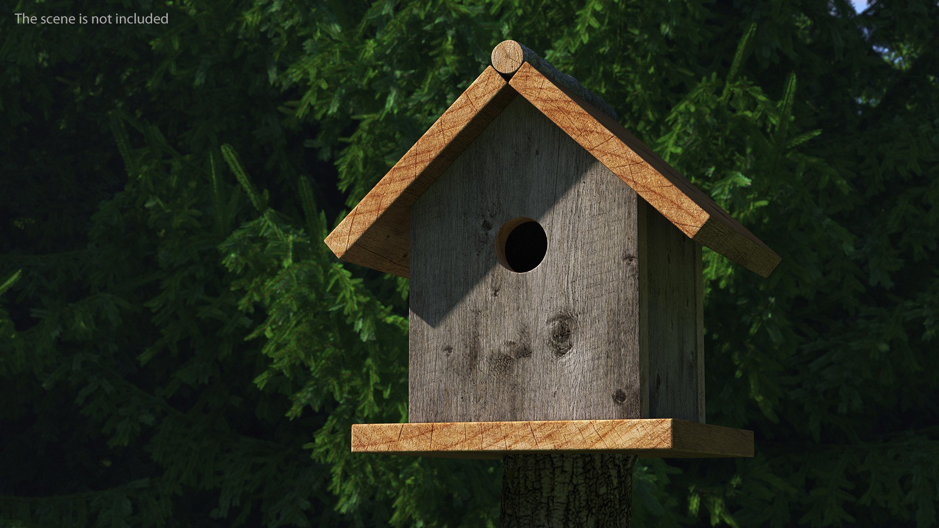 3D Bird House - TurboSquid 2076153