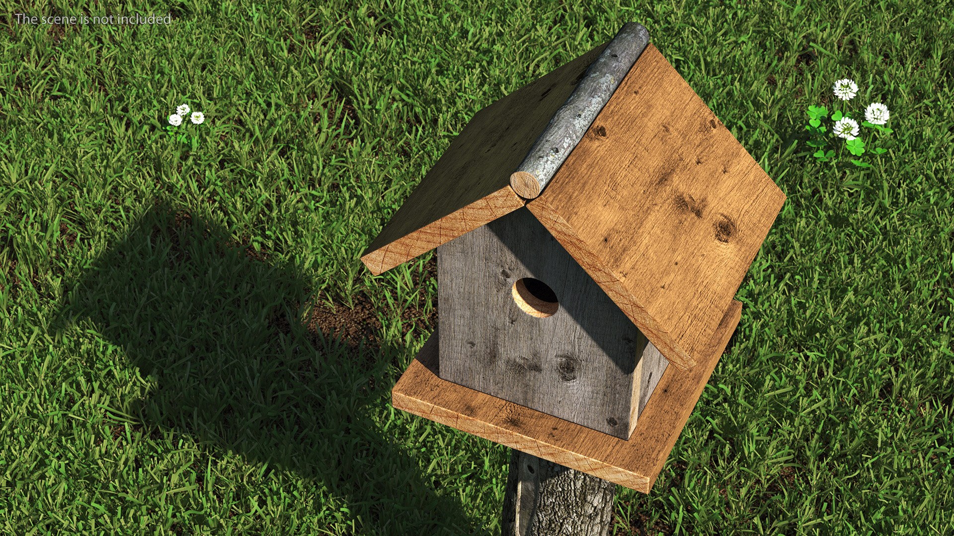 3D Bird House - TurboSquid 2076153