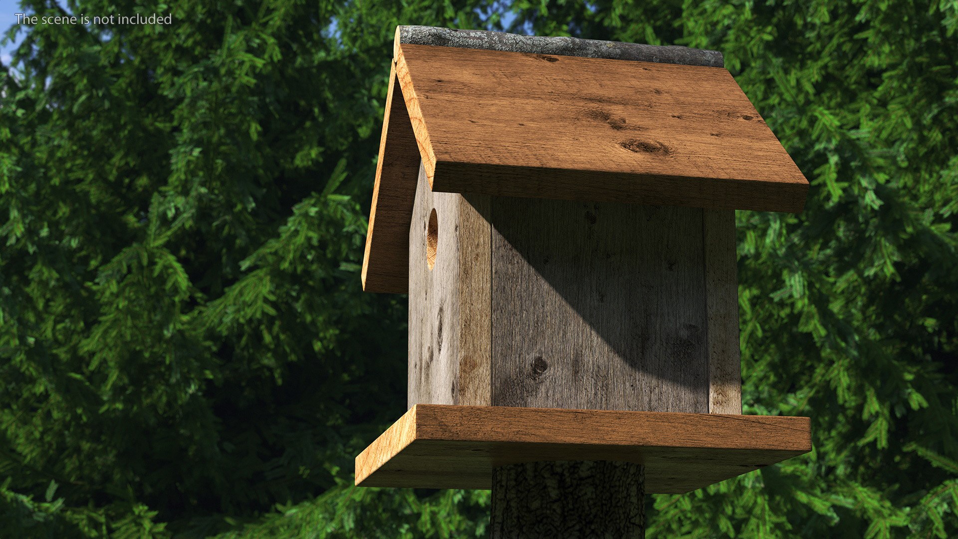 3D Bird House - TurboSquid 2076153