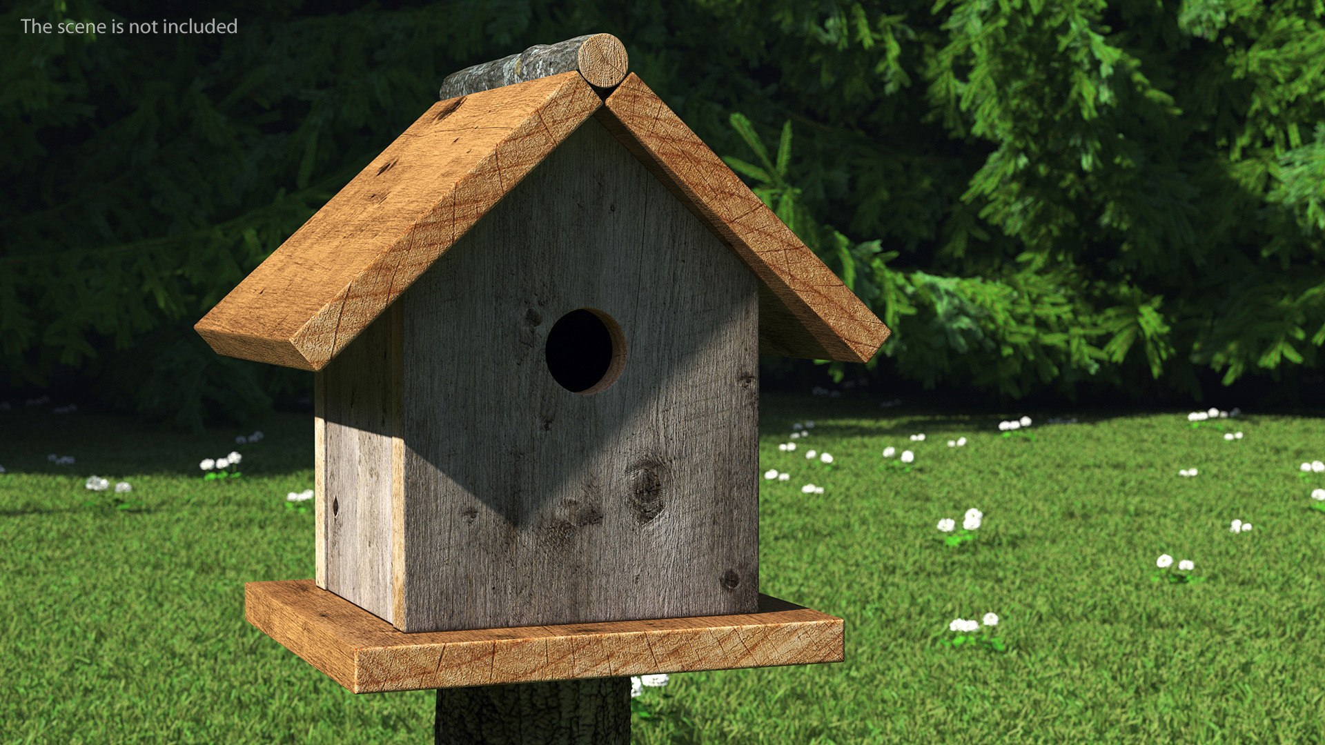 3D Bird House - TurboSquid 2076153