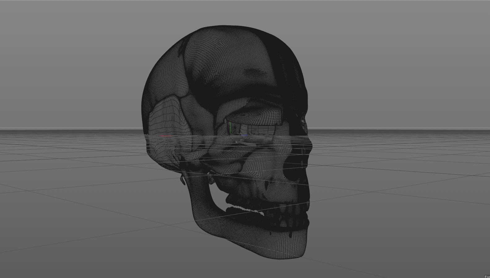 3D human skull model - TurboSquid 1310366