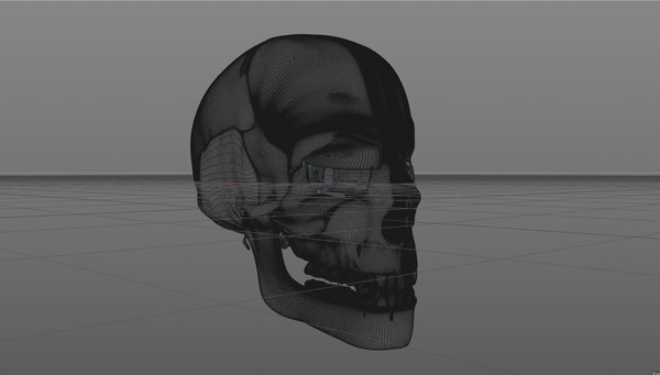 3D human skull model - TurboSquid 1310366
