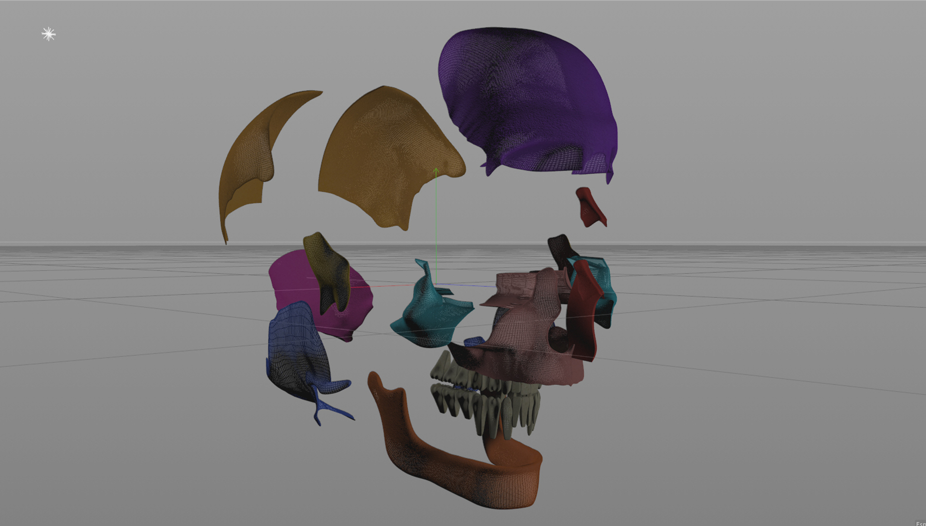 3D human skull model - TurboSquid 1310366