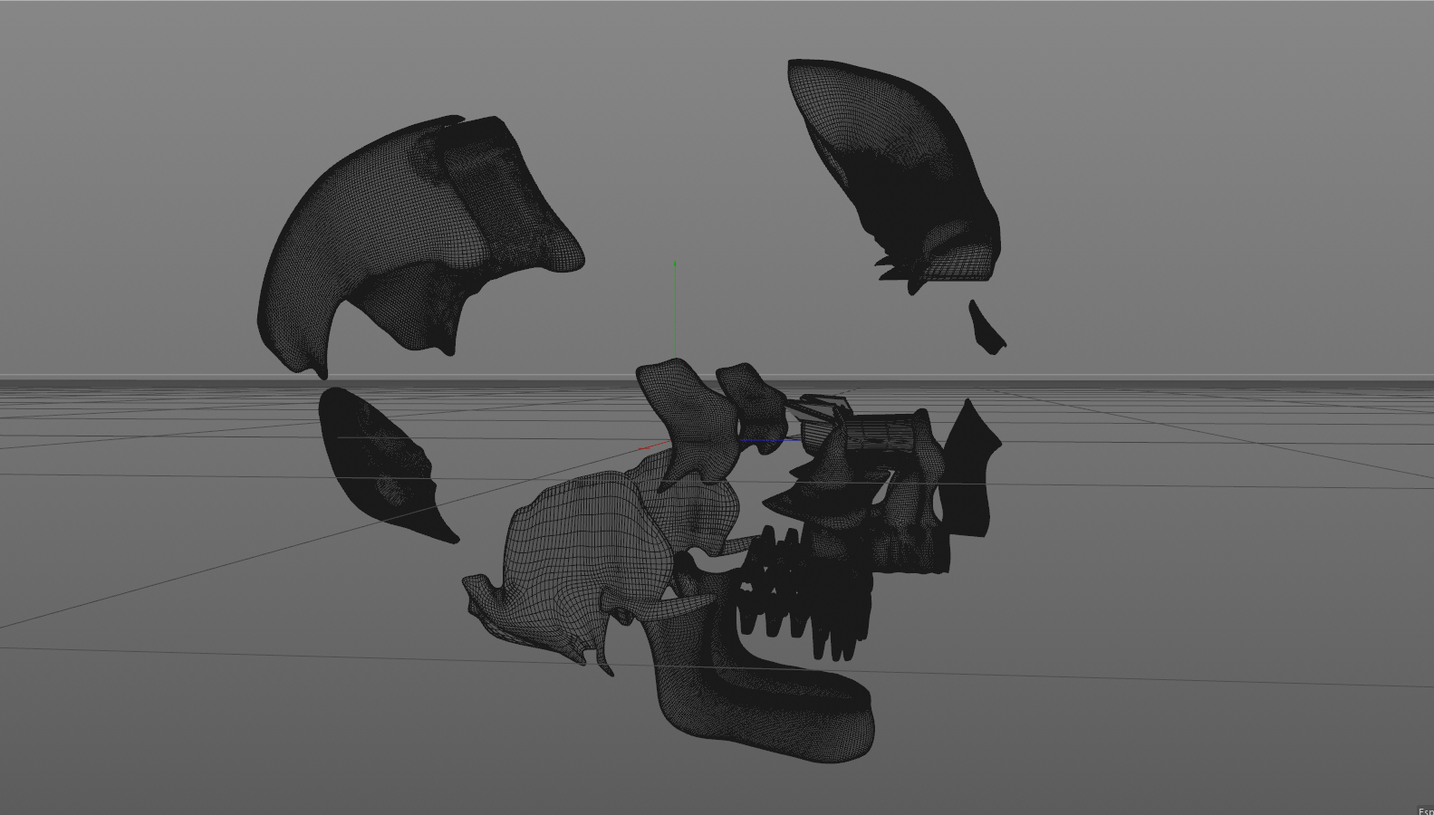 3D human skull model - TurboSquid 1310366