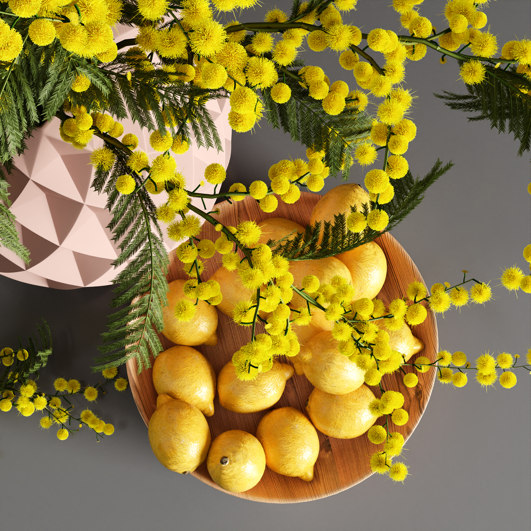 Decorative mimosa lemon model - TurboSquid 1576856