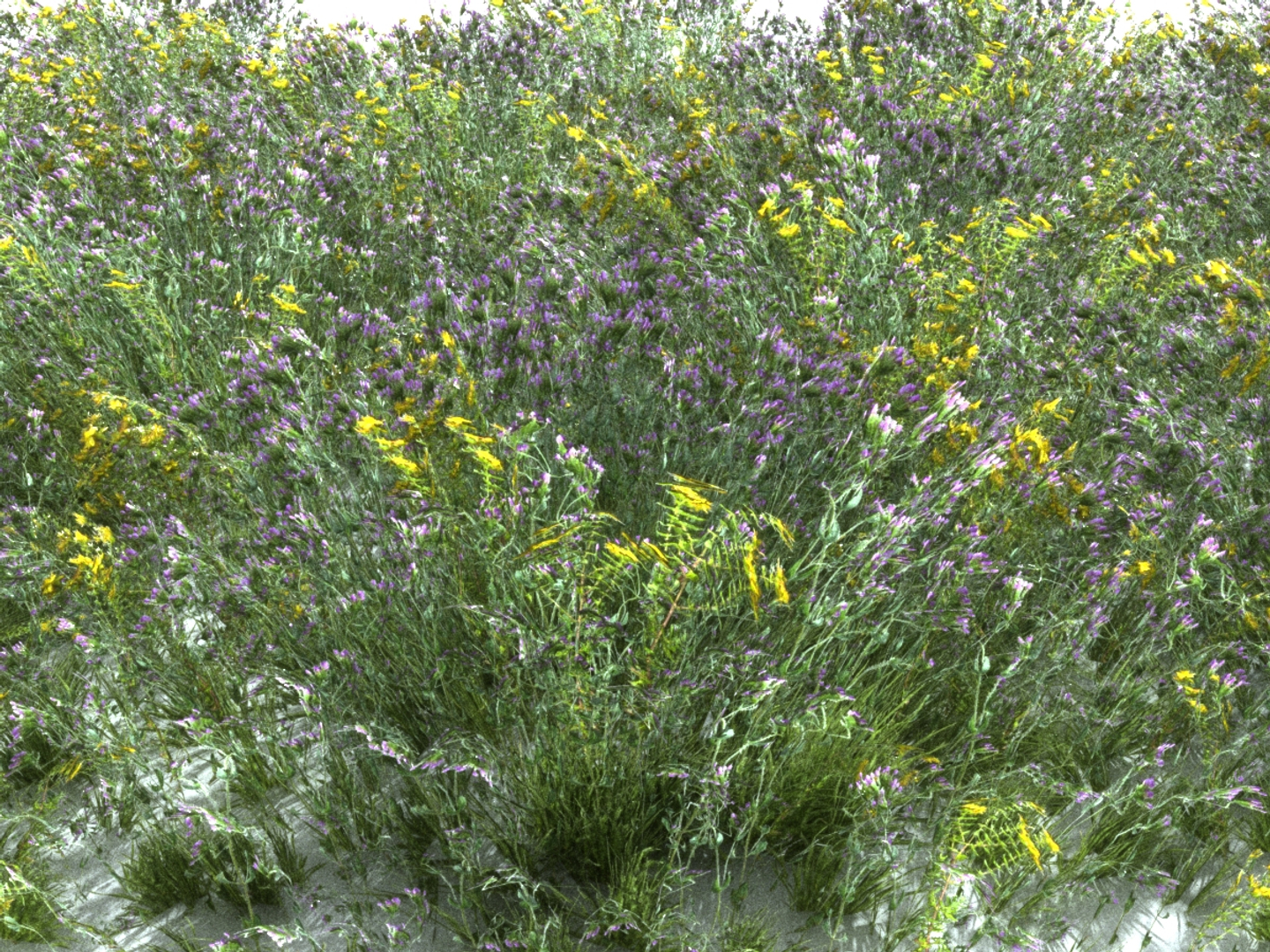 3D Meadow Plants Ecosystems - TurboSquid 1422436