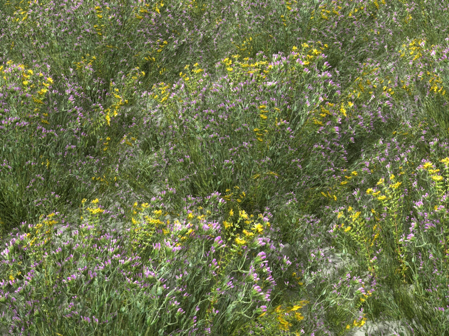 3D Meadow Plants Ecosystems - TurboSquid 1422436