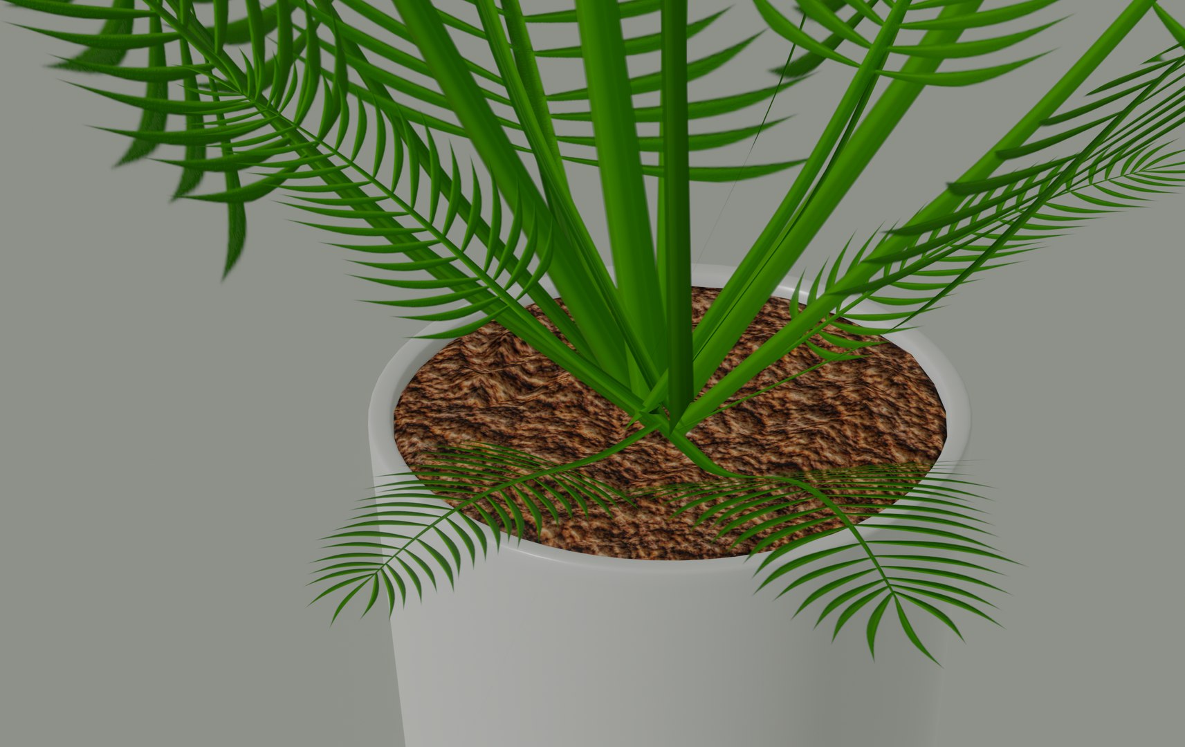 Palm Plant 3D - TurboSquid 2058756