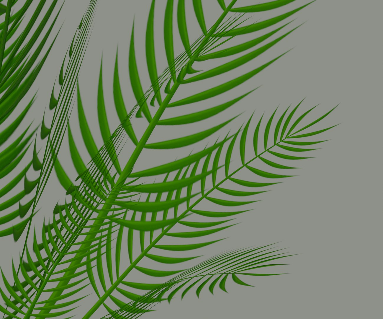 Palm Plant 3D - TurboSquid 2058756