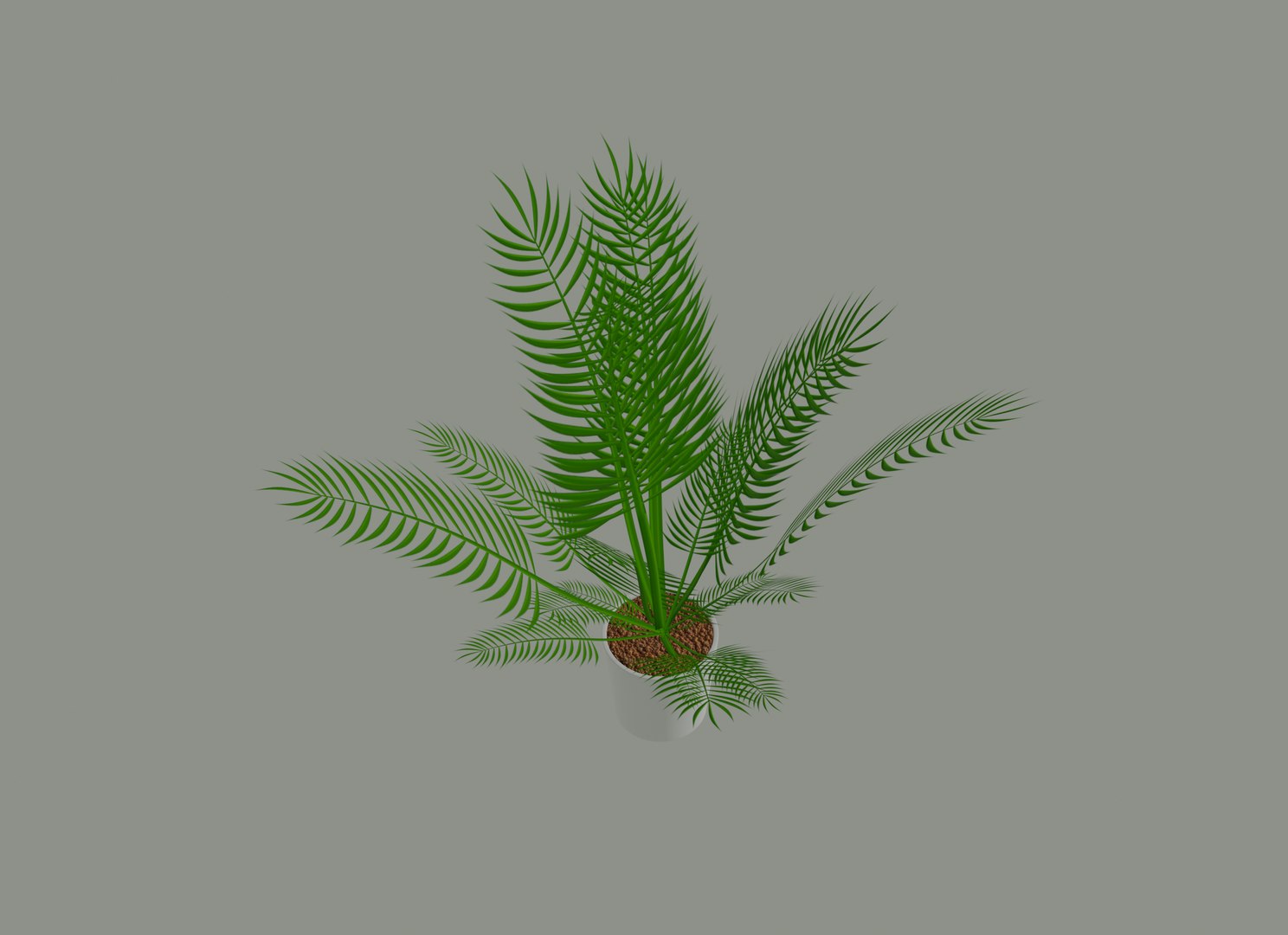 Palm Plant 3D - TurboSquid 2058756