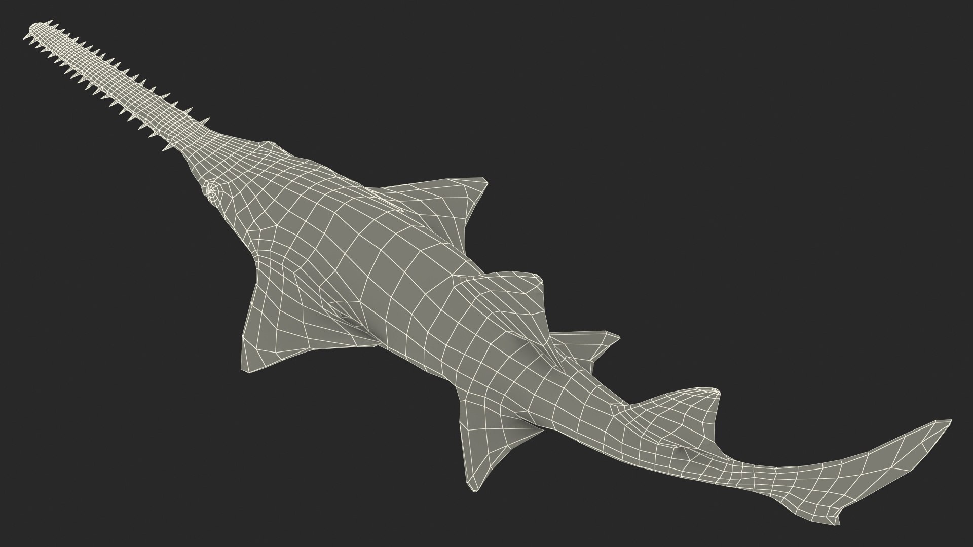 Sawfish Swimming Pose Fish 3D Model - TurboSquid 1580991