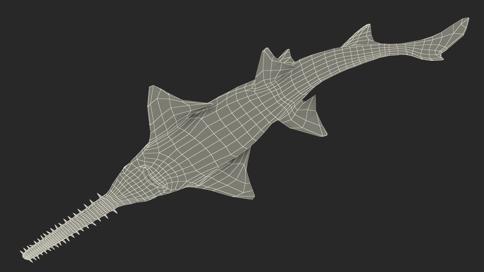 Sawfish Swimming Pose Fish 3D Model - TurboSquid 1580991