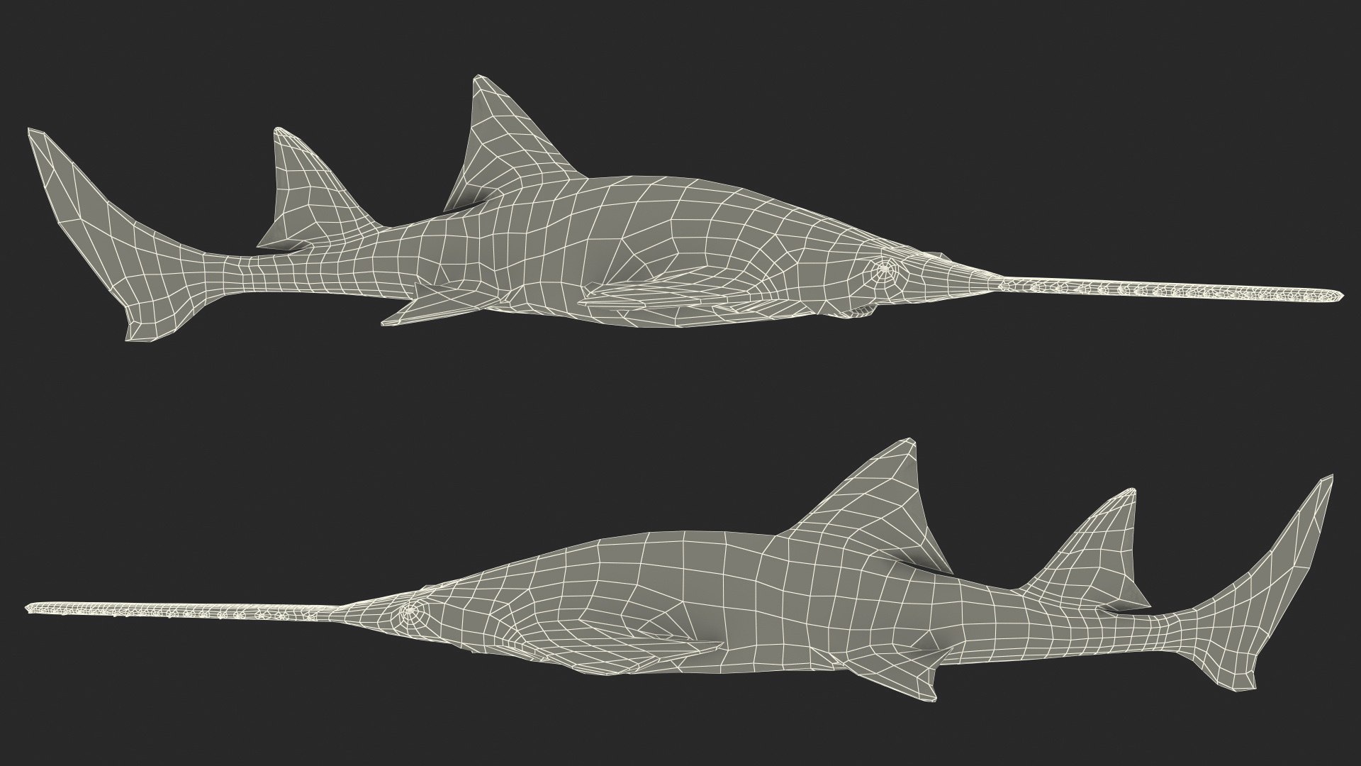 Sawfish Swimming Pose Fish 3D Model - TurboSquid 1580991