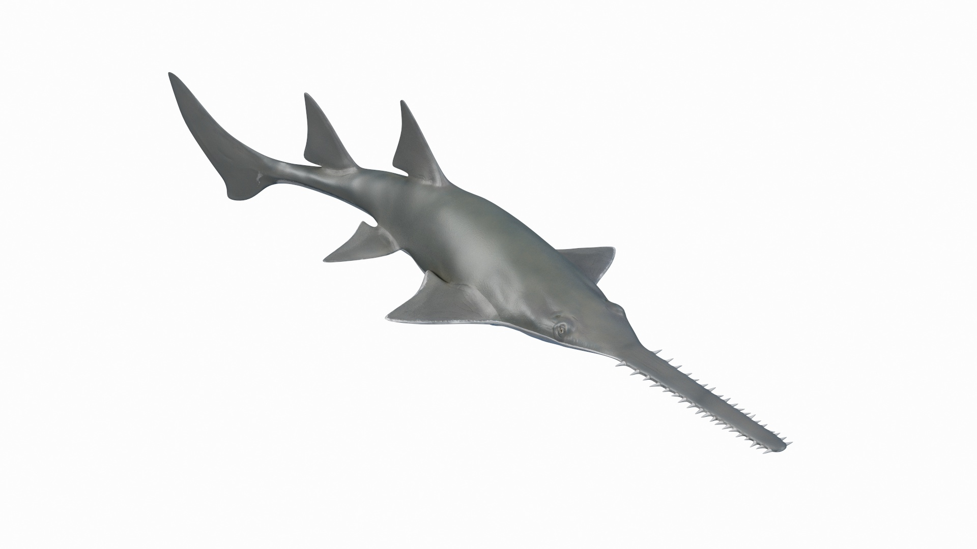 Sawfish swimming pose fish 3D model - TurboSquid 1580991