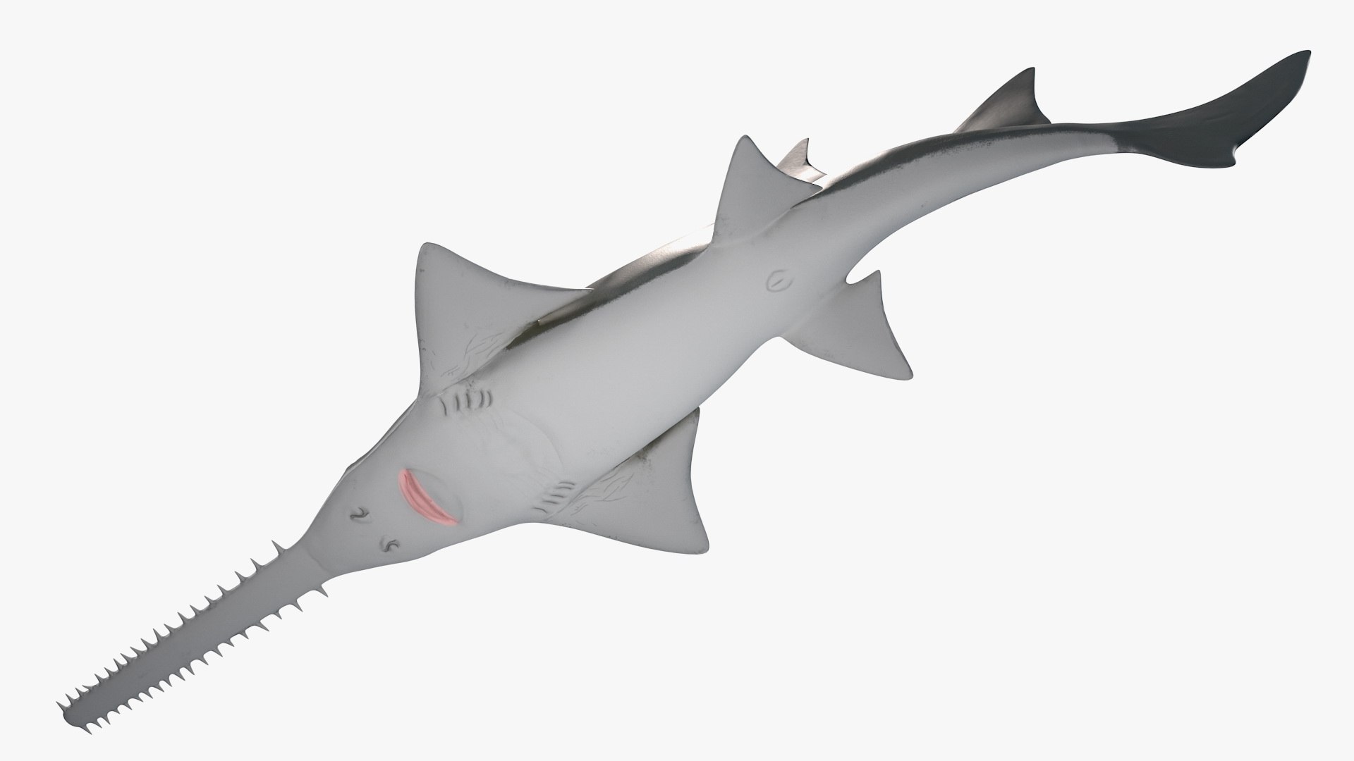 Sawfish swimming pose fish 3D model - TurboSquid 1580991
